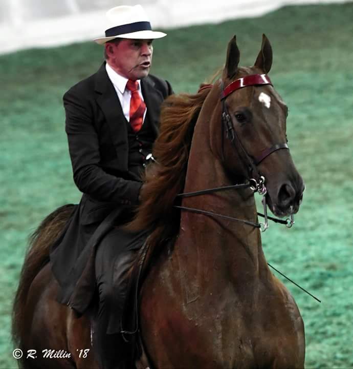 The American Saddlebred Horse Association World Championship Horse Show ...