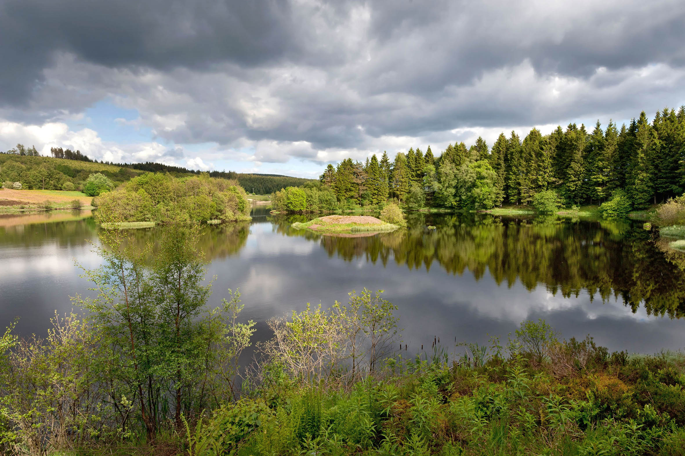 Satellite Surveying Tech Helps Northumbrian Water Mitigate Risk from Trees