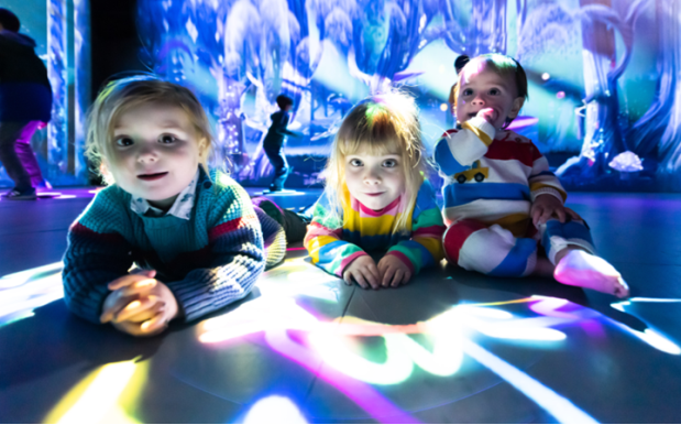 Step into an interactive digital forest at Eureka!