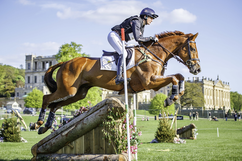 The Red Barrows and Daring Dogs Pack Out a Family and Dog Friendly ...