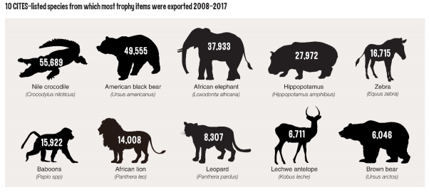 UK revealed as the destination for thousands of items derived from ...