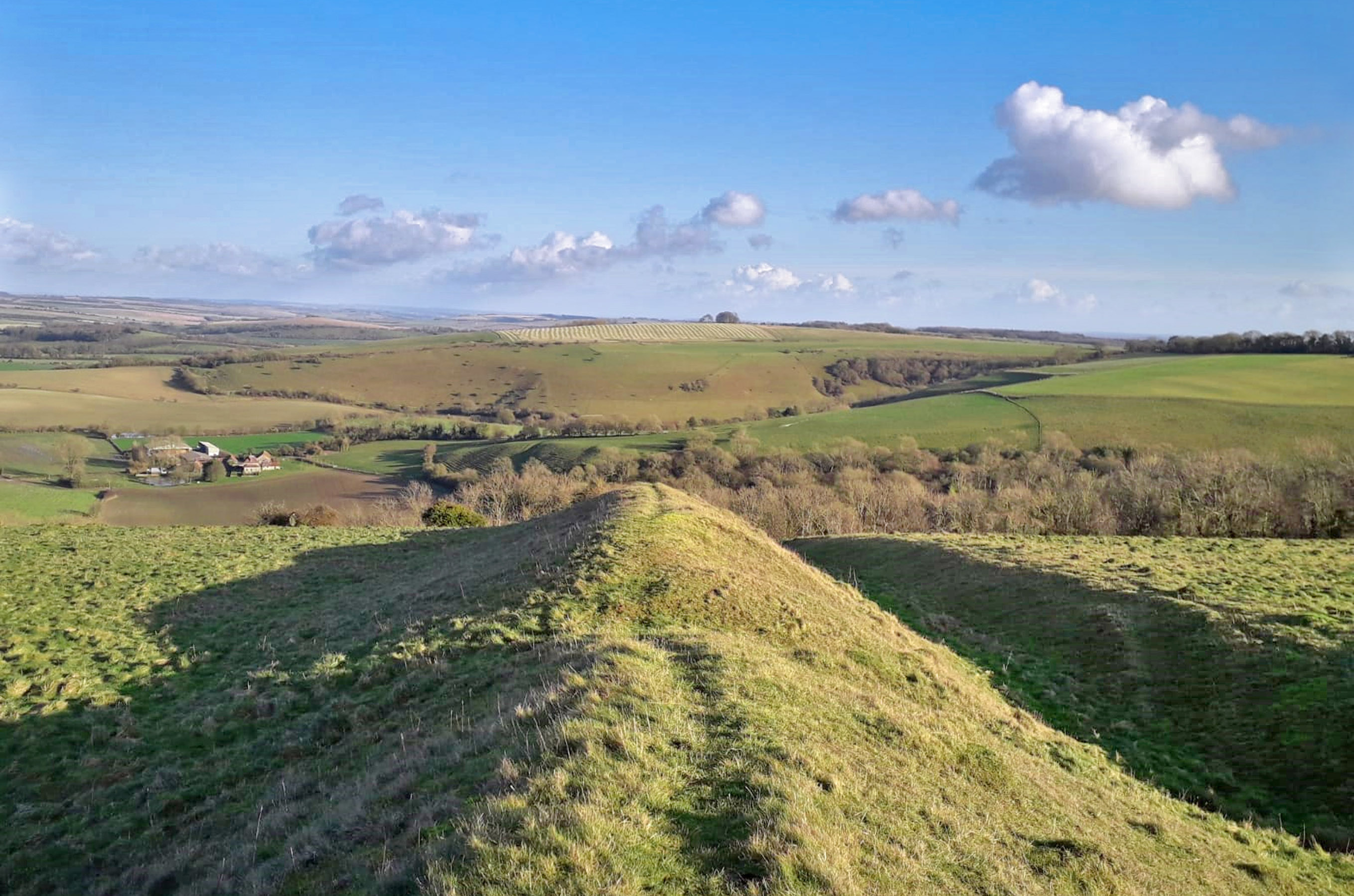 Laser Mapping to Help Reveal the Past of Cranborne Chase