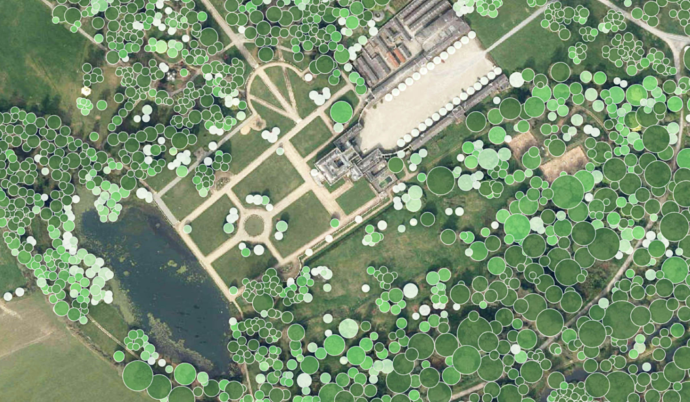 Bluesky National Tree Map Helps Waterford Plan a Carbon Neutral Future